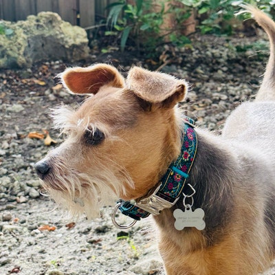 UGLY Bells for Pet Collar Chipped Jingle Bell for Cat Collar Character ...