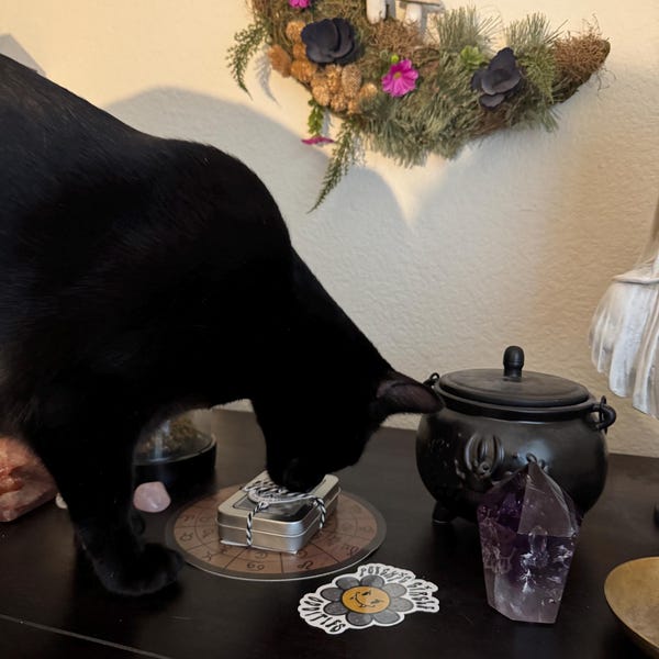 Limited Edition- Black Widow Spider Belt Chain Accessory - Etsy