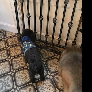 Antique Style Metal Entry Gate Custom 36t X 36w Donovan Wrought Iron ...