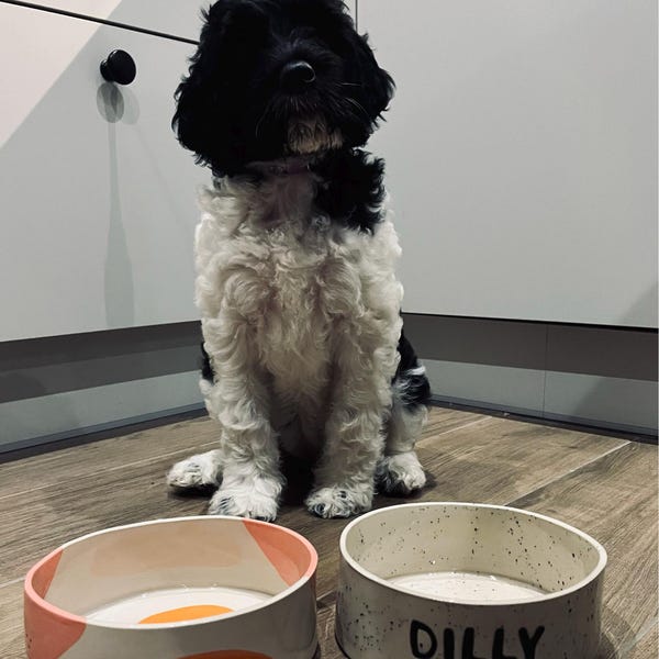 Handmade Ceramic Pet Bowl | Orange & Pink Happy Blob Design - Etsy UK