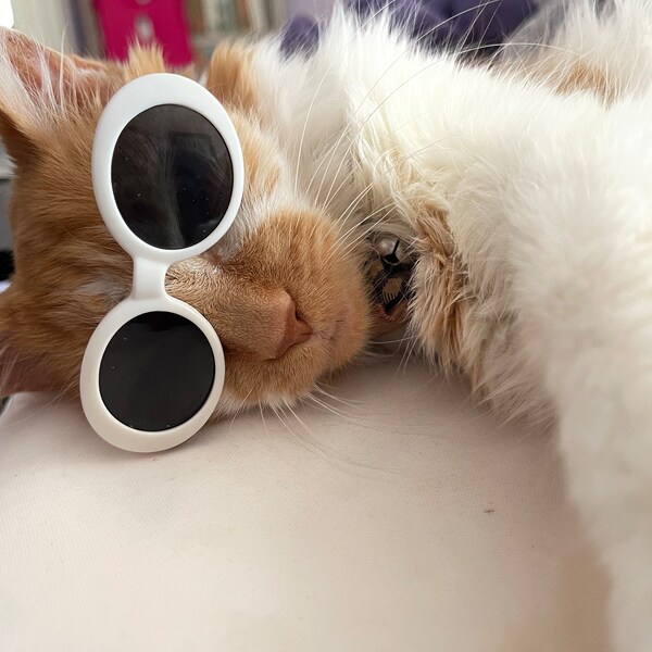 Pet Sunglasses: Small Dog & Cat Sun Shades, Costume Prop - Etsy