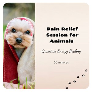 High Vibration Food Pyramid High Frequency Food Chart Healthy Eating ...