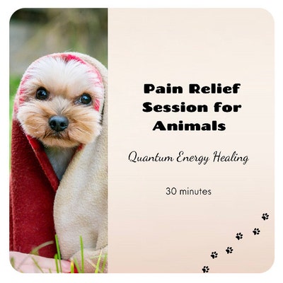 High Vibration Food Pyramid High Frequency Food Chart Healthy Eating ...