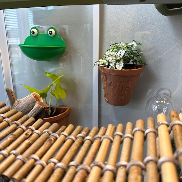 Frog and Reptile Hanging Pot Terrarium Decor - Etsy