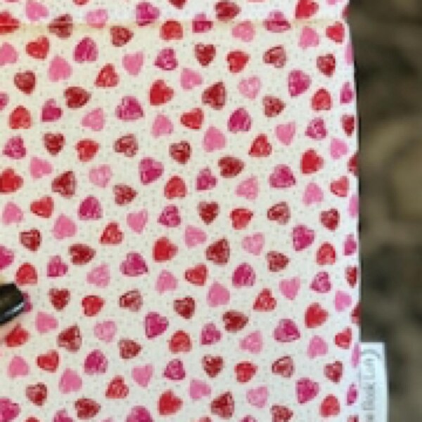 Kindle Paperwhite Sleeve Padded Friends Kindle Sleeve - Etsy