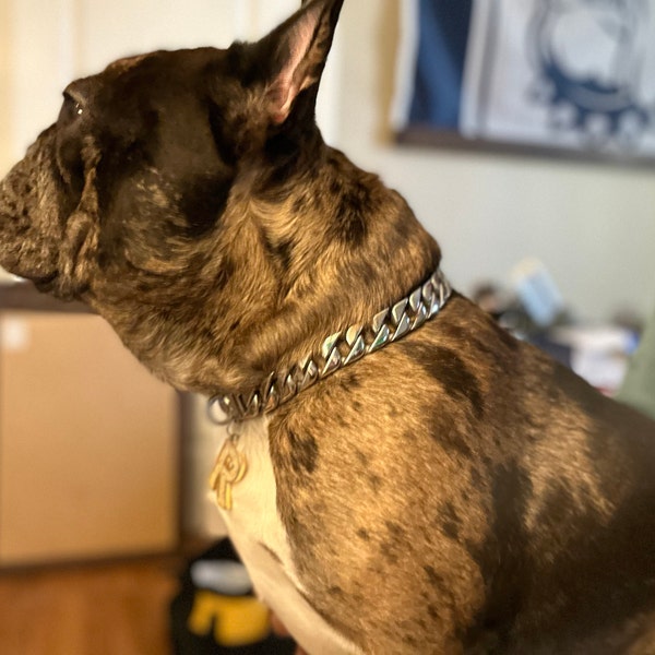 15mm Wide Diamond Cuban Link Gold Dog Chain Collar for French Bulldog ...