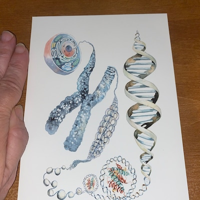 Thank You Card for Microbiology Professor, Chemistry, Biology, Science ...