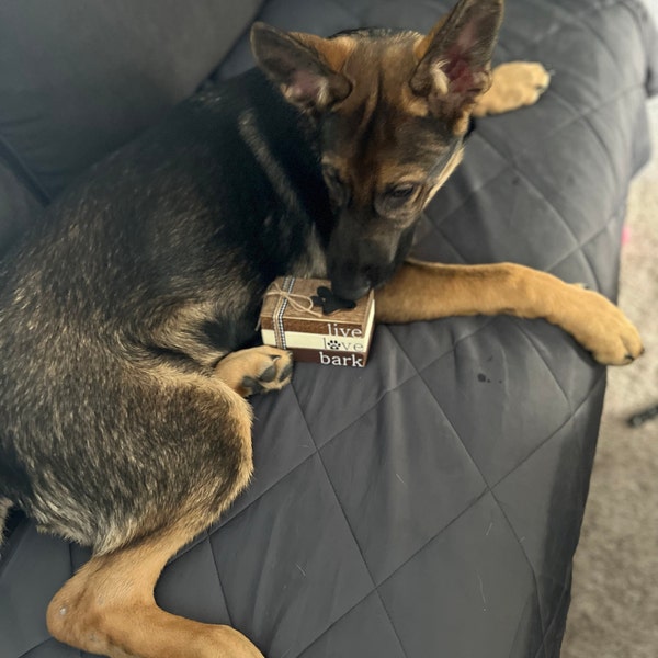 Dog Themed Mini Wood Book Stack/live Live Bark/ Tier Tray Decor/ Home ...