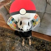 Cubone Dog Mask / Dinosaur Mask / Dog Costume / Funny Dog Gift / 3D ...
