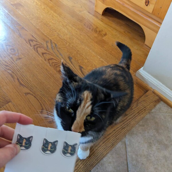 Lucky Cat Keychain, Kawaii Kitty Keychain, Good Luck Cat Acrylic ...