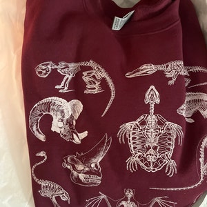 Moth Shirt Cottagecore Shirt Bug Shirt Aesthetic Tshirt Insect Shirt ...