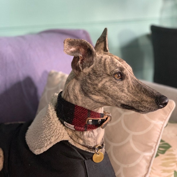 Hound Collar in Harris Tweed. Lovely Soft Collar for Sight Hounds - Etsy
