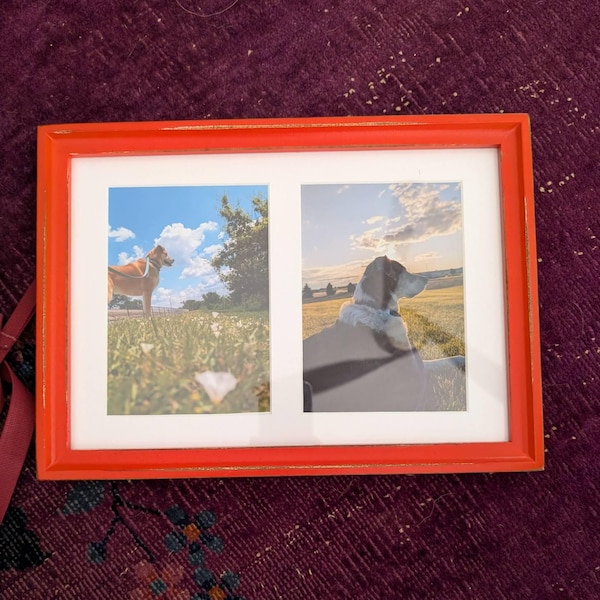 Collage Picture Frame Mat Windows Fit Multiple 5x7 Photos in Foxy Cove ...
