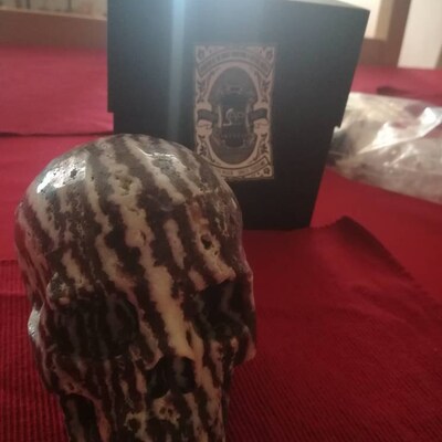 Skullis Crystal Skull, 2.0 Red Moss Agate Hand Carved Crystal Skull ...