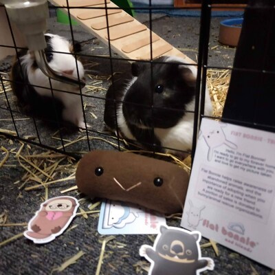 Wombat Stuffed Animal Handmade Plush Soft Toy Doll Cute - Etsy