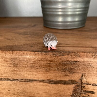 MINIATURE HEDGEHOG Animals Figures Figurines Fairy Garden Dollhouse ...