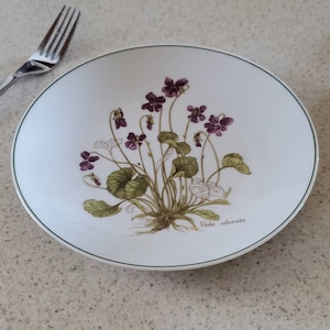 Set of 8 Carico Fine China Plates Tivoli 7954 Pattern - Etsy