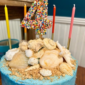 Hard Candy Edible Sugar Shells Very Detailed Cupcake or - Etsy