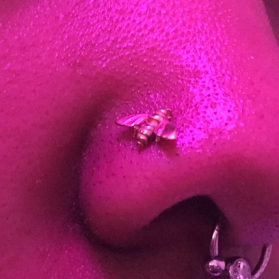 Gold Bee Nose Stud Yellow Gold Bee Nose Screw Insect Nostril Jewelry ...