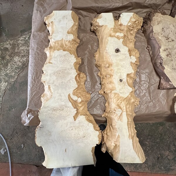 Set of Burl Wood. Burl Wood. DIY Crafts. Dried Burl Slabs. Woodworking ...