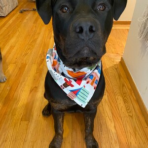 Concha Dog Squeaky Toy Concha Toy Mexican Sweet Bread Toy | Etsy