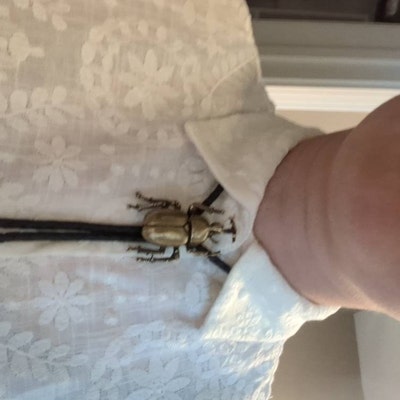 ATLAS Big Bad Beetle Bolos Brass Insect Bolo Tie Jewelry for Men Nature ...