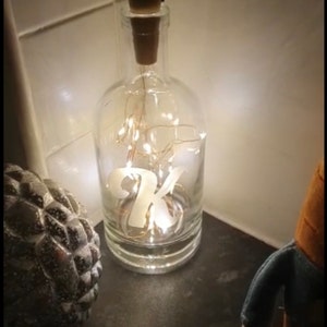 Copper Wire Firefly Fairy Glass Bottle With Warm Lights. Perfect for ...