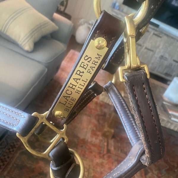 HALTER PLATE XLARGE .032" Solid Brass or .020" Nickel Silver Custom ...