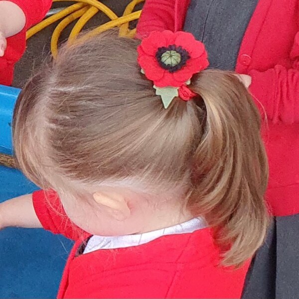 Poppy Hair Clip Set, Poppies Hair Clips, Floral Hair Clips, Pigtail ...