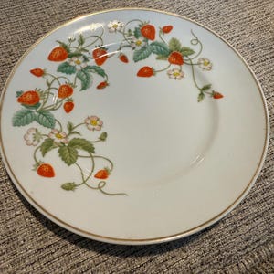 Noritake Fine China Pattern "rosa" #5460 Dinner Plate With Pink Roses ...