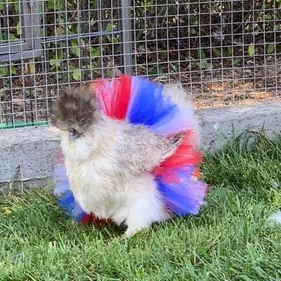 Patriotic Chicken Tutu - Etsy