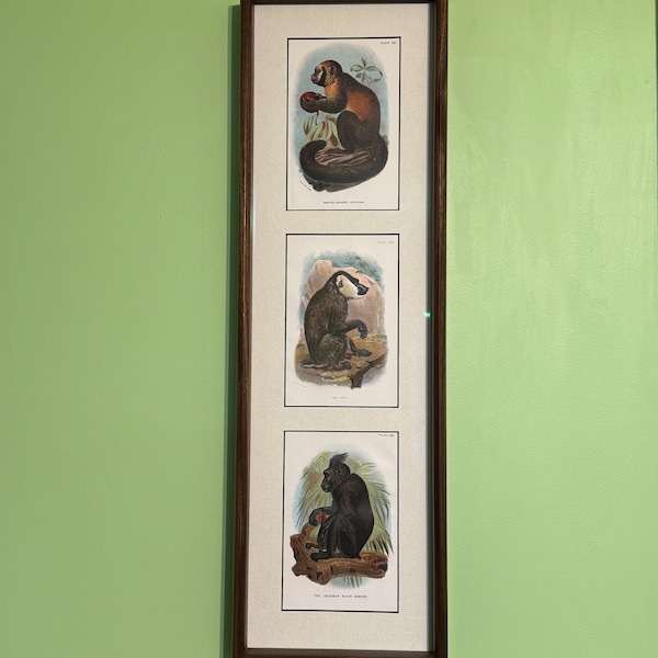 1890 ROCKS & MINERALS Print - Antique Mineralogy Print, Geology Print ...