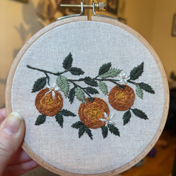 Orange Branch Embroidery Kit, Beginner Embroidery DIY Kit, Oranges ...