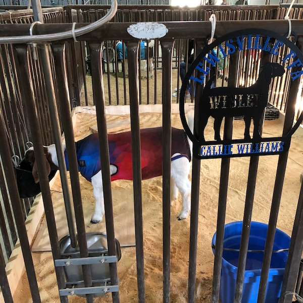 Custom Metal Livestock Sign: Personalized Farm Animal Pen Art - Etsy