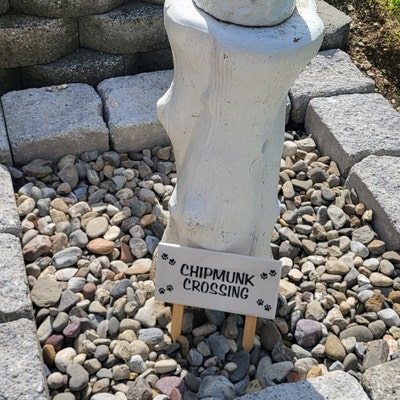 Toad Abode Funny Garden Sign Toad House Garden Sign Cute Gift for ...