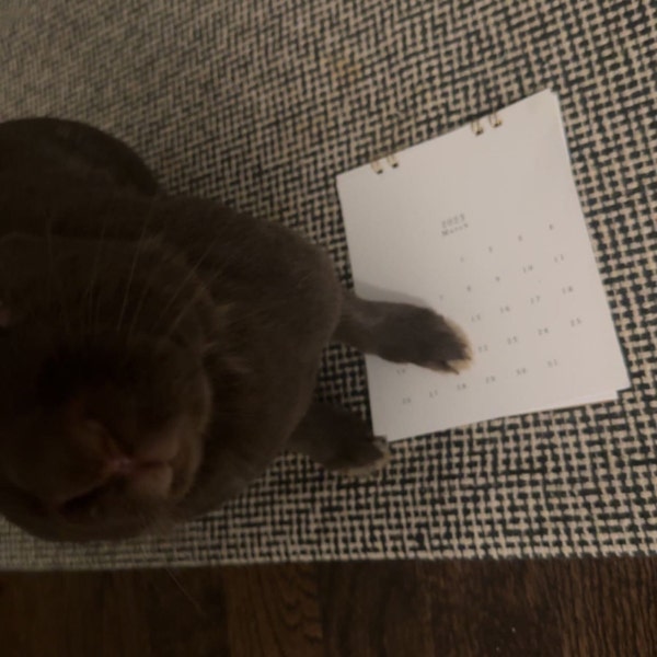 6in X 4.5in Simple Minimalist Calendar / Minimal Modern Design 2026 ...