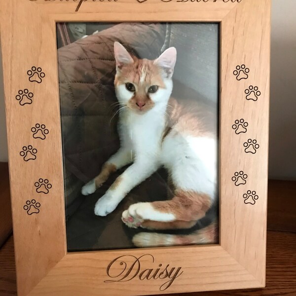 Adopted Adored Personalized Cat Photo Frame, Pet Lover Gifts, Cat ...