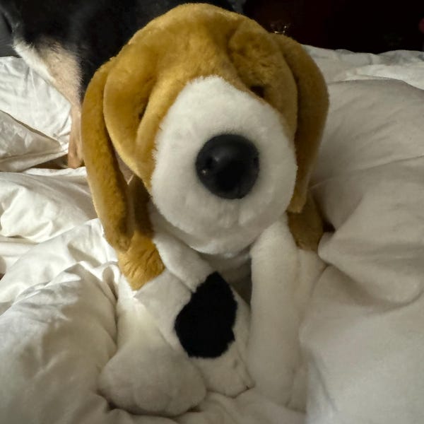 16" Build A Bear Beagle Dog Plush Brown Black White Puppy Stuffed BABW ...