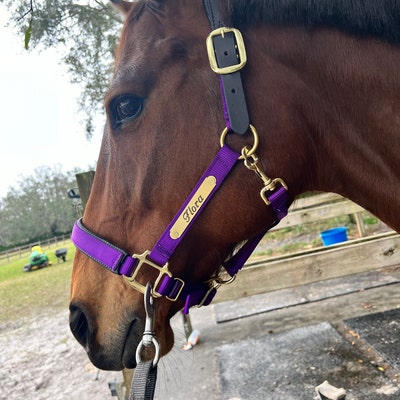 Custom Engraved SILVER Tack, Bridle, Martingale Plate - Etsy