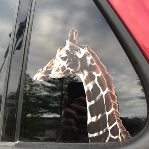 STICKER Giraffe Window Sticker Car Sticker Giraffe Car - Etsy