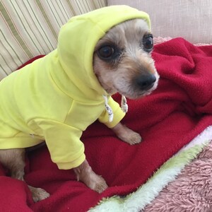 Daisy Chiffon Crop Top XS-2XL Dog-shirts Dog Top Dog - Etsy