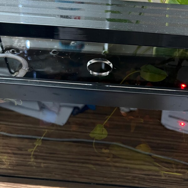 Acrylic Aquarium Lid: 2.5/5.5/10 Gallon | Clear Terrarium Cover ...