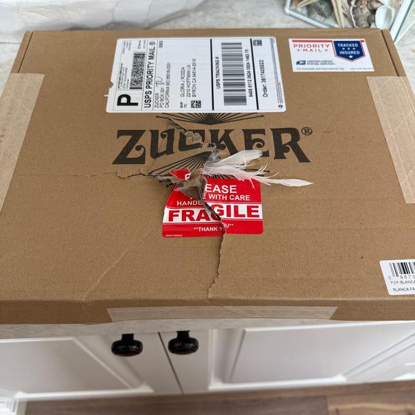 Large White Feather Angel Wings, Edgy Arch Angel Feather Wings, Unique ...