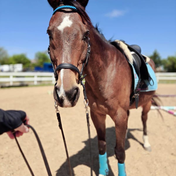 Rope Neckrope Camo - Custom Made Tassel Cordeo - Handmade Equestrian ...