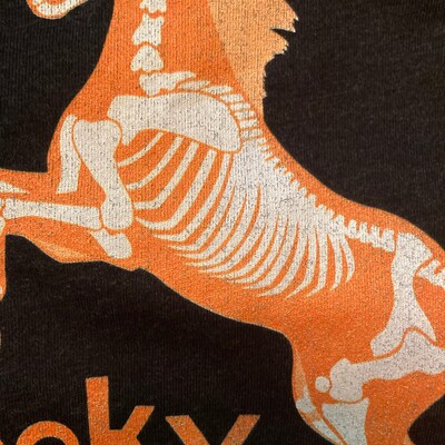 Horse Skeleton Silk Scarf Horse Skeleton Silk Wild Rag Cool Horse Girl ...