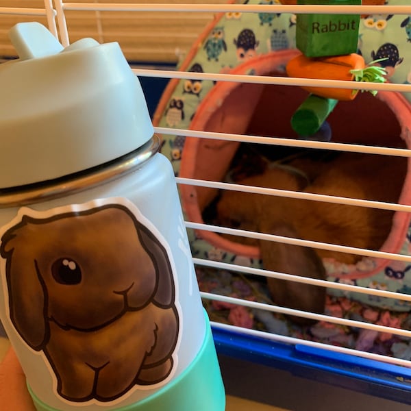 Blue Tort Lop Bunny Sticker; Printed Adorable Rabbit Vinyl Sticker ...