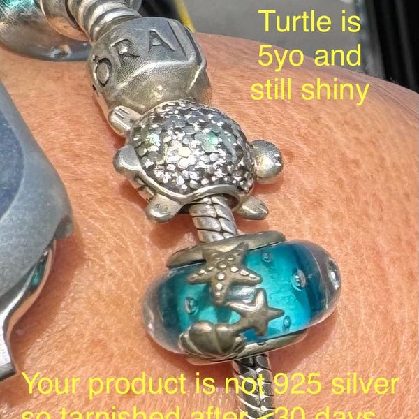 Reflection Mesh Clip Charm, Reflexions Silver Bracelet Endless Love ...
