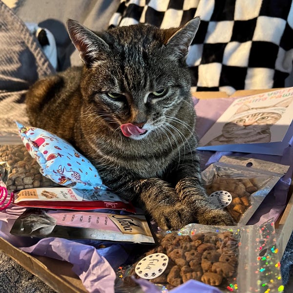 Cat Toy and Treat Gift Box, Cat and Kitten Hamper, Cat Pamper Box ...