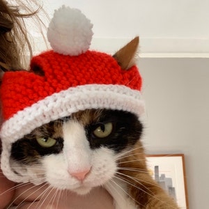 Pig Cat Hat Piggy Cat Hat Piggy Hat Hat for Cats and Small | Etsy