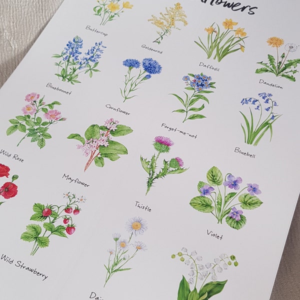 Wildflowers Art Print | Hand Painted With Watercolors | Educational ...